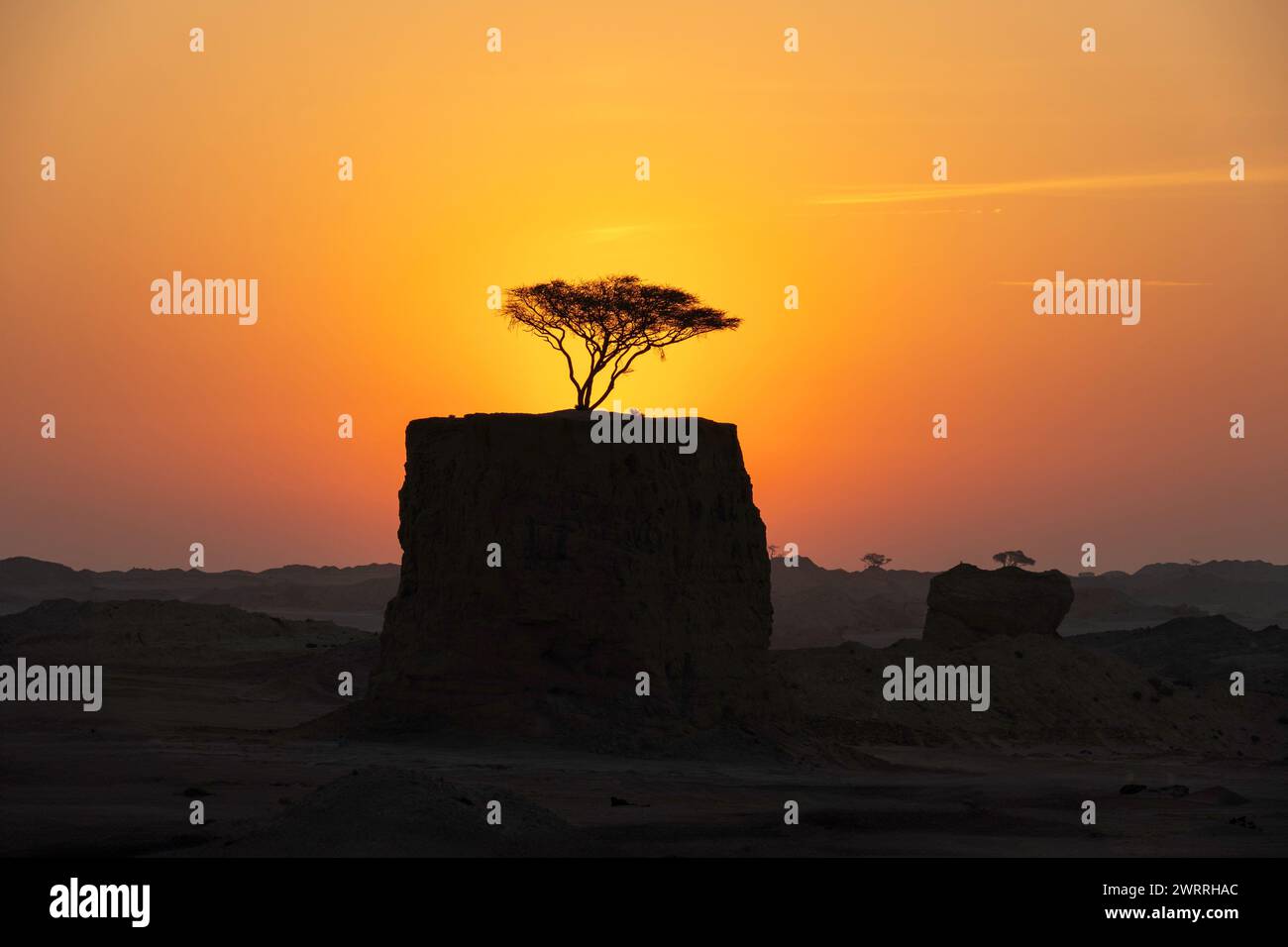 Doha wallpapers hi-res stock photography and images - Alamy