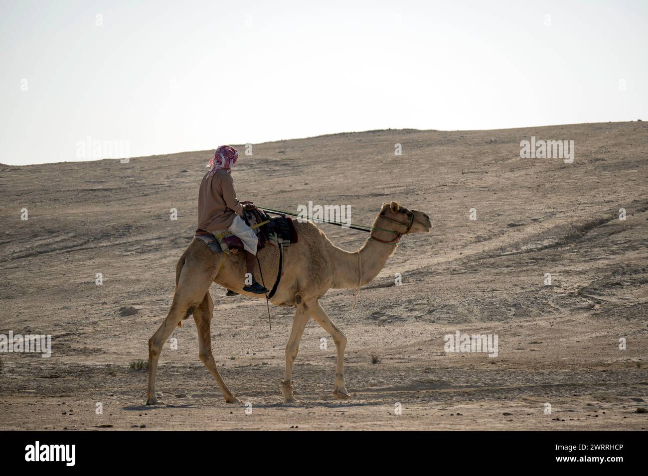 Umbab qatar hi-res stock photography and images - Alamy