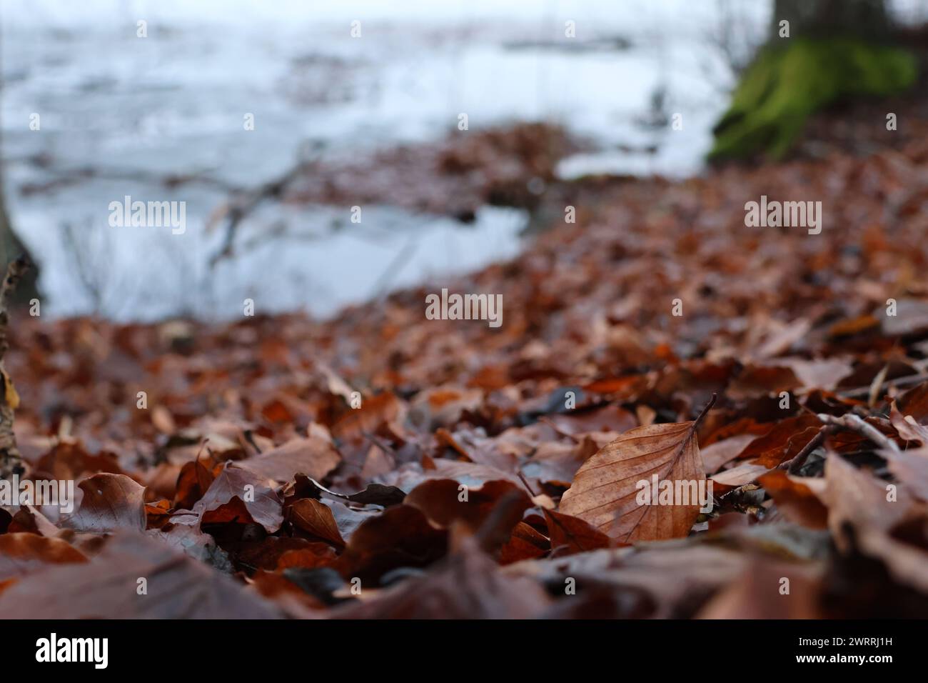 Swedish Right of Public Nature Access provides everyone to enjoy this ...