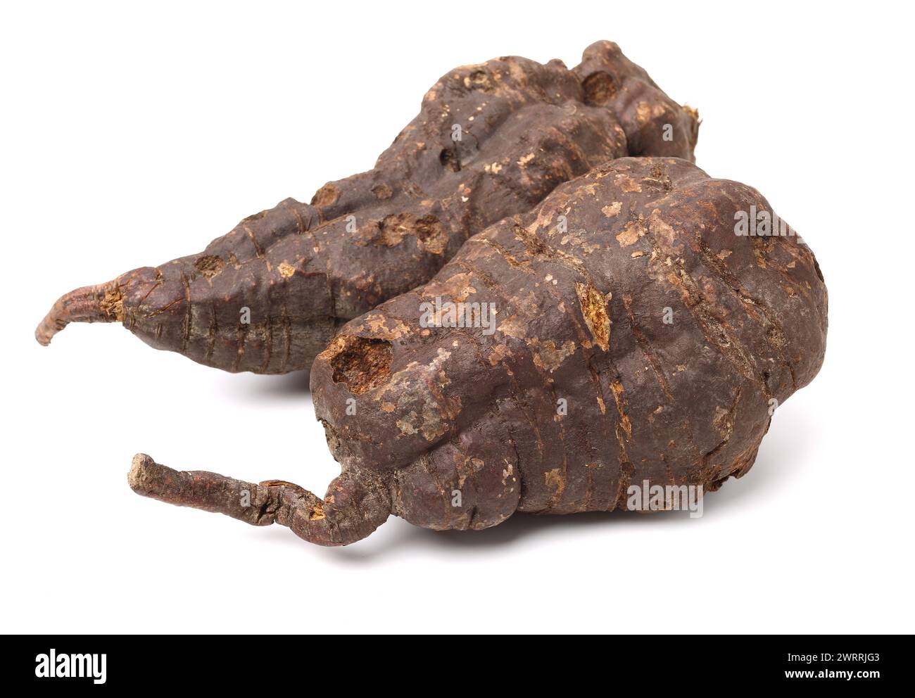 The Chinese medicine Polygonum multiflorum on white background Stock ...