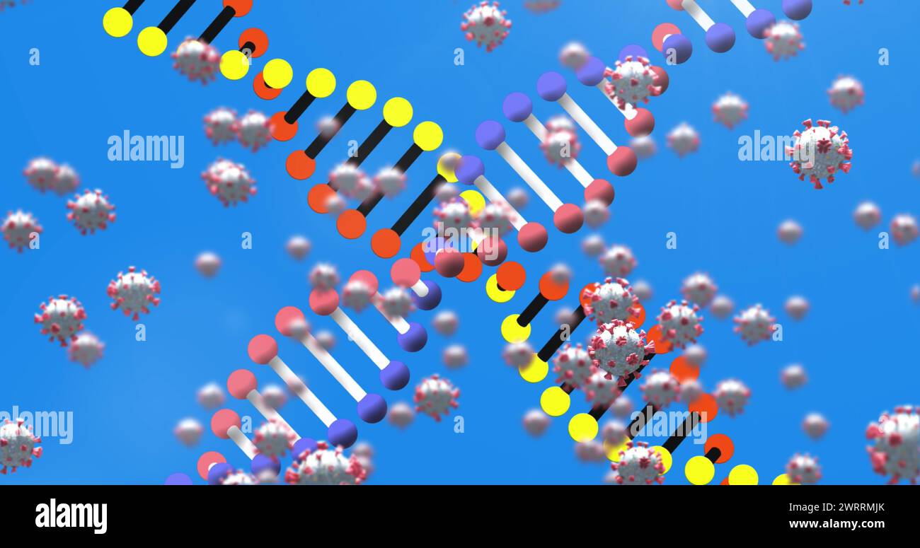 Image of dna strand spinning with covid cells and blood cells floating ...