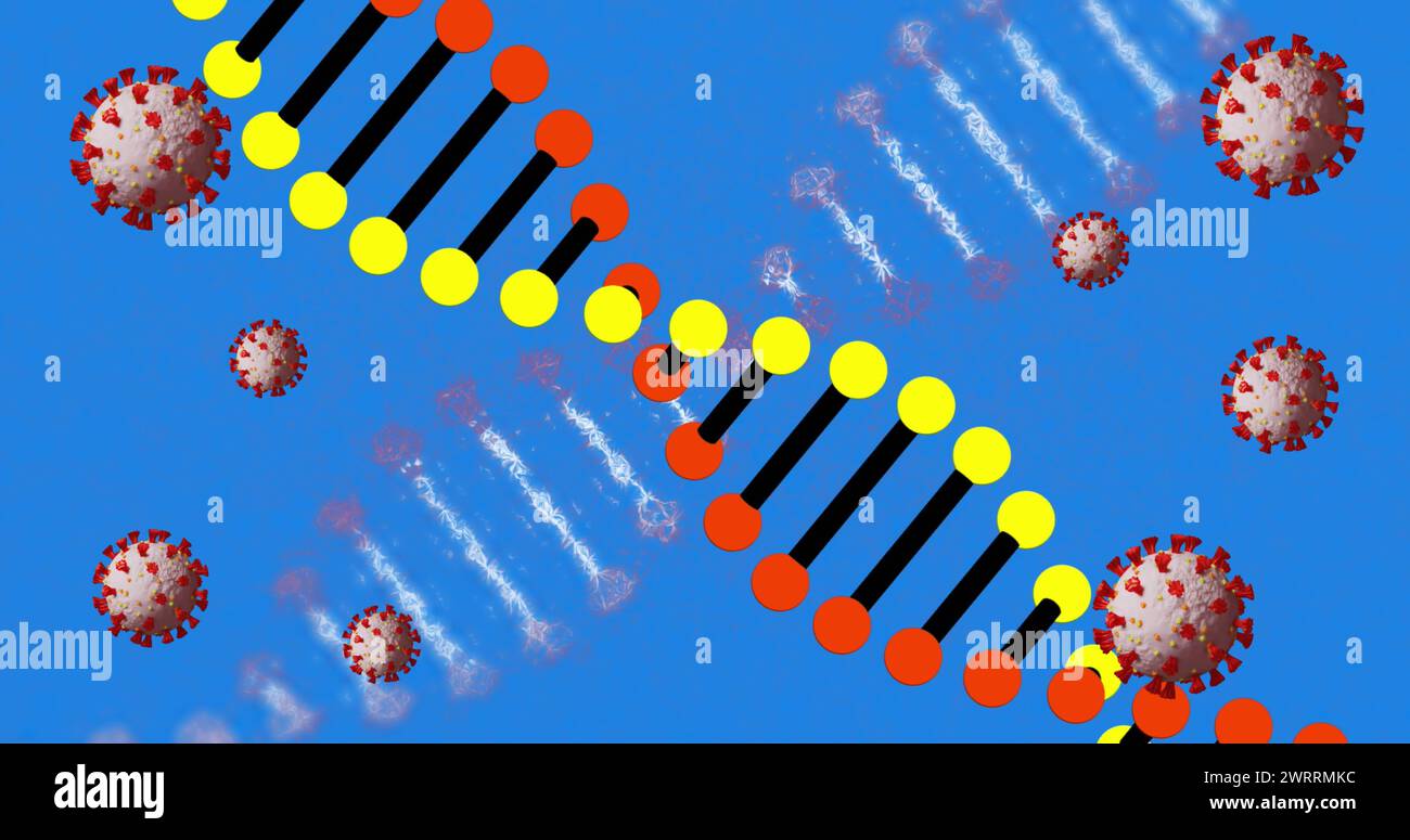 Digital image of multiple dna structure spinning against human icons on ...
