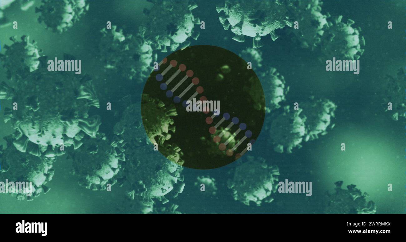 Image of dna strand spinning over covid cells and blood cells floating ...