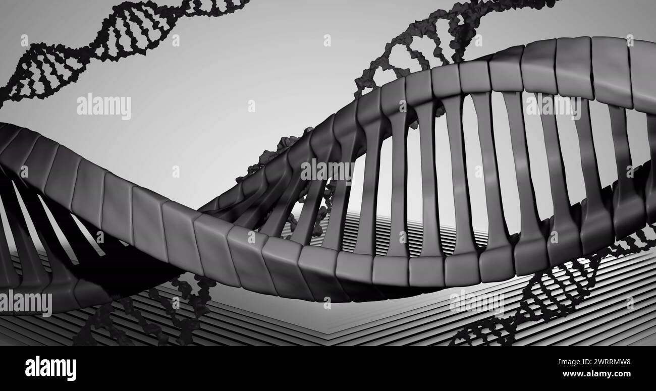 Image of dna strands spinning over grey background Stock Photo - Alamy