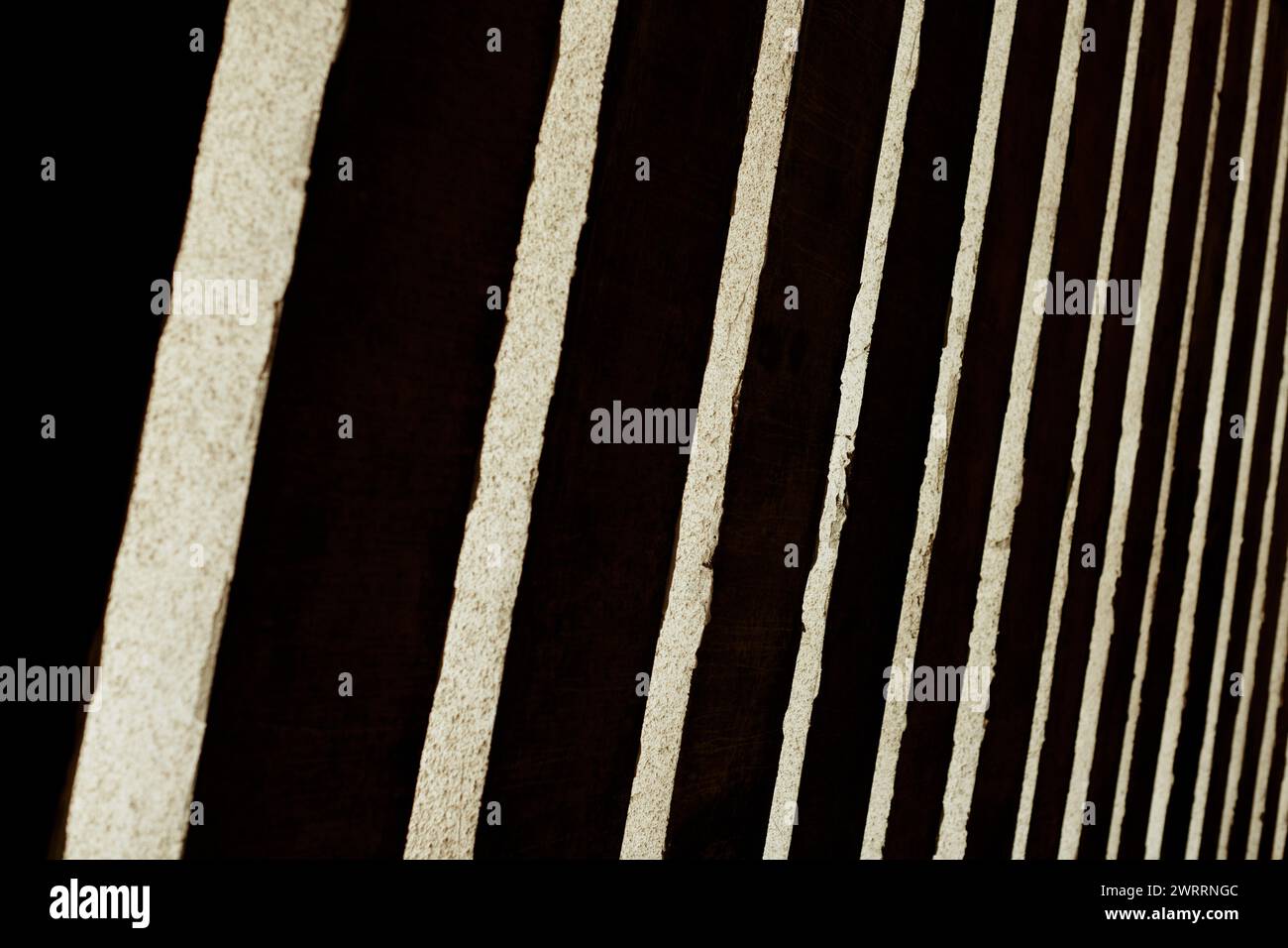 Symmetrical Row Of Columns For Maintain Architectural Structure