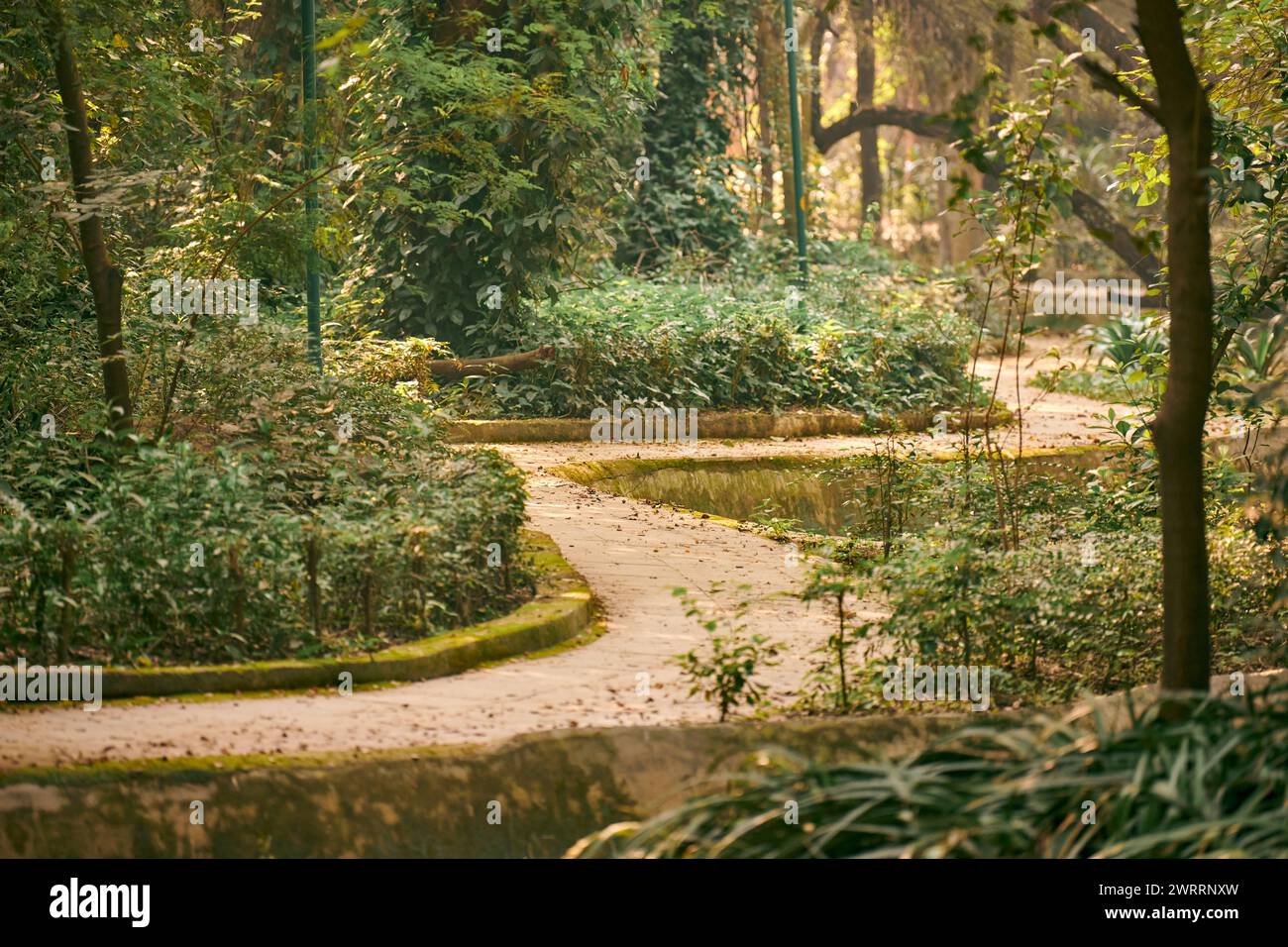 Winding pathway in sweltering urban Indian park where air is thick with ...