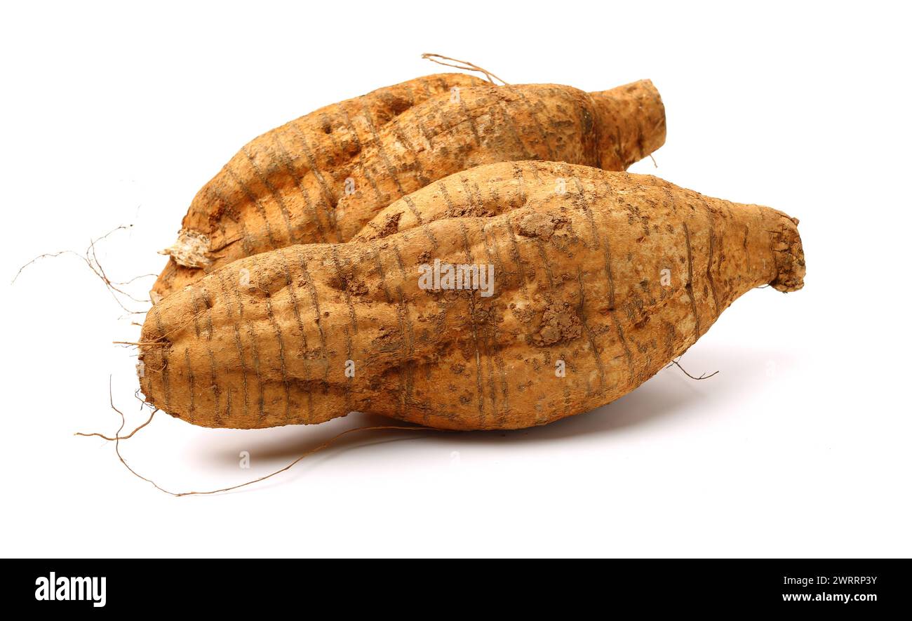 Kudzu Vine Root