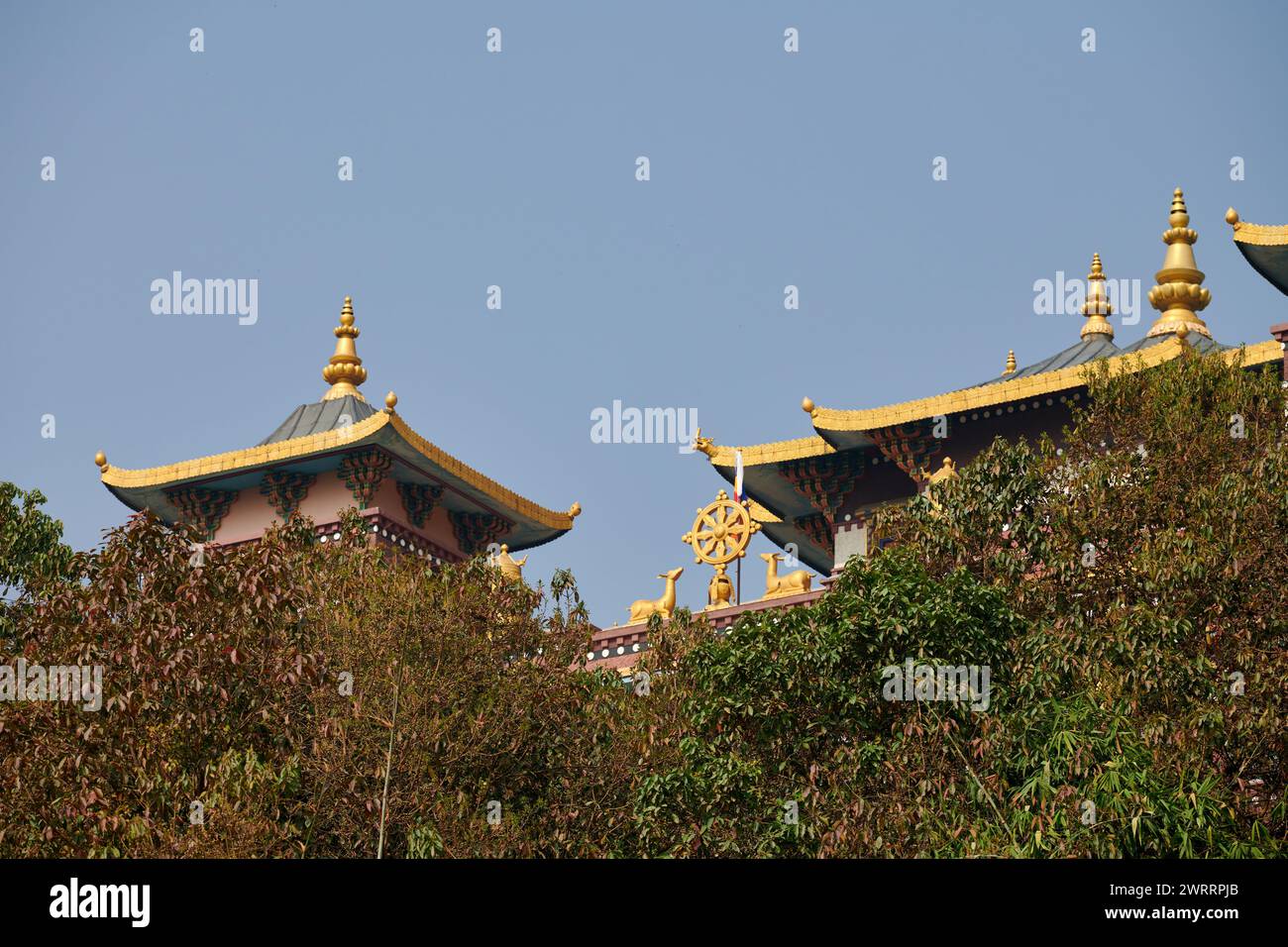 Tibetan temple on mountain shrouded in green vegetation amidst peaceful ...