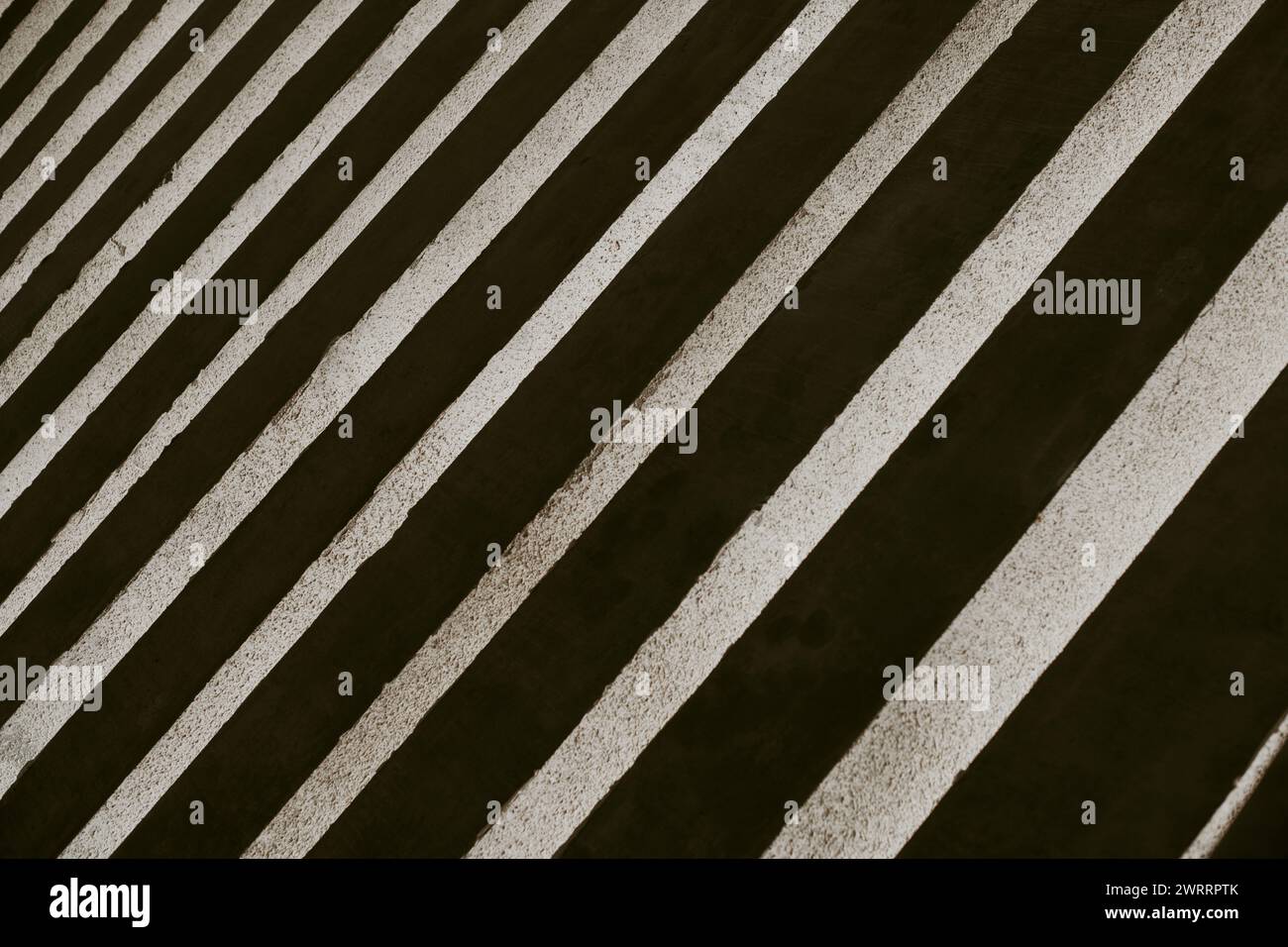 Symmetrical row of columns for maintain architectural structure ...