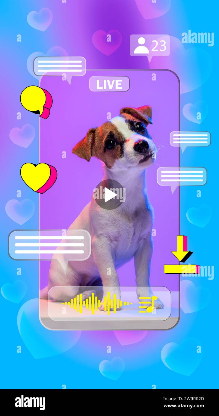 Jack Russell Terrier dog in smartphone surrounded by social media ...