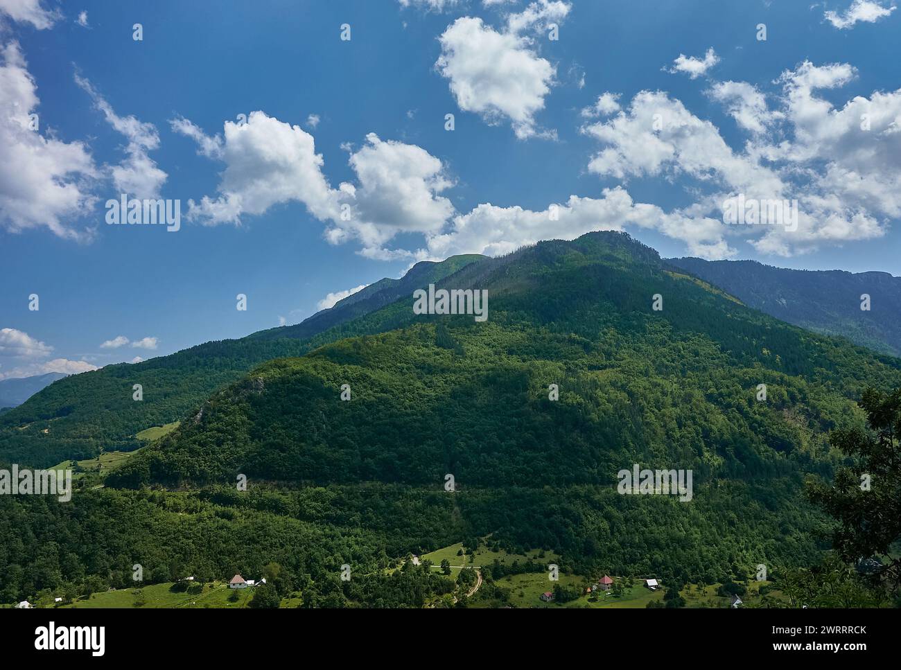 Beautiful panorama mountains of Montenegro. Mountains and forests on ...