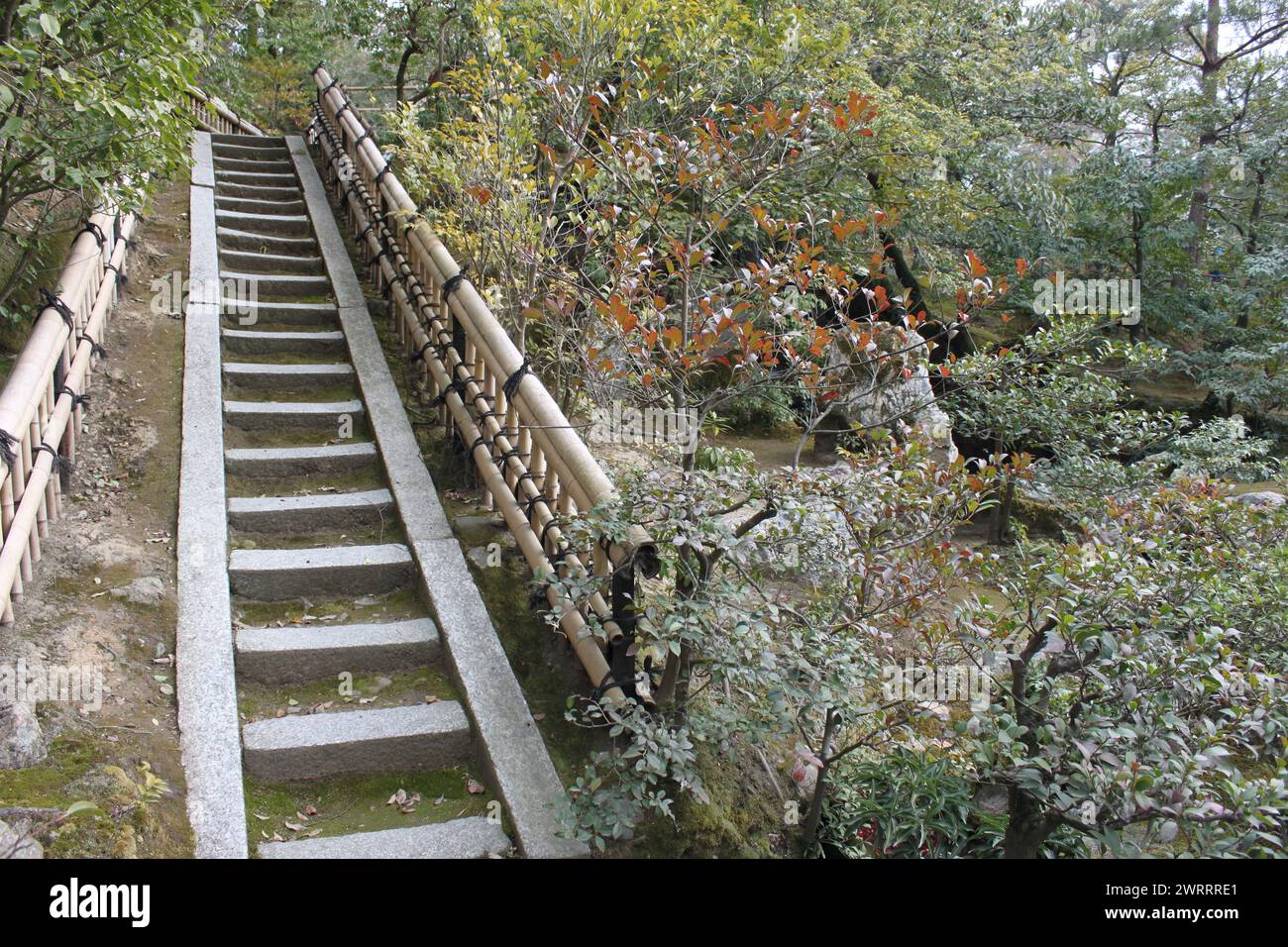 Stairs in a Japanese garden with stone steps and a handrail made of ...
