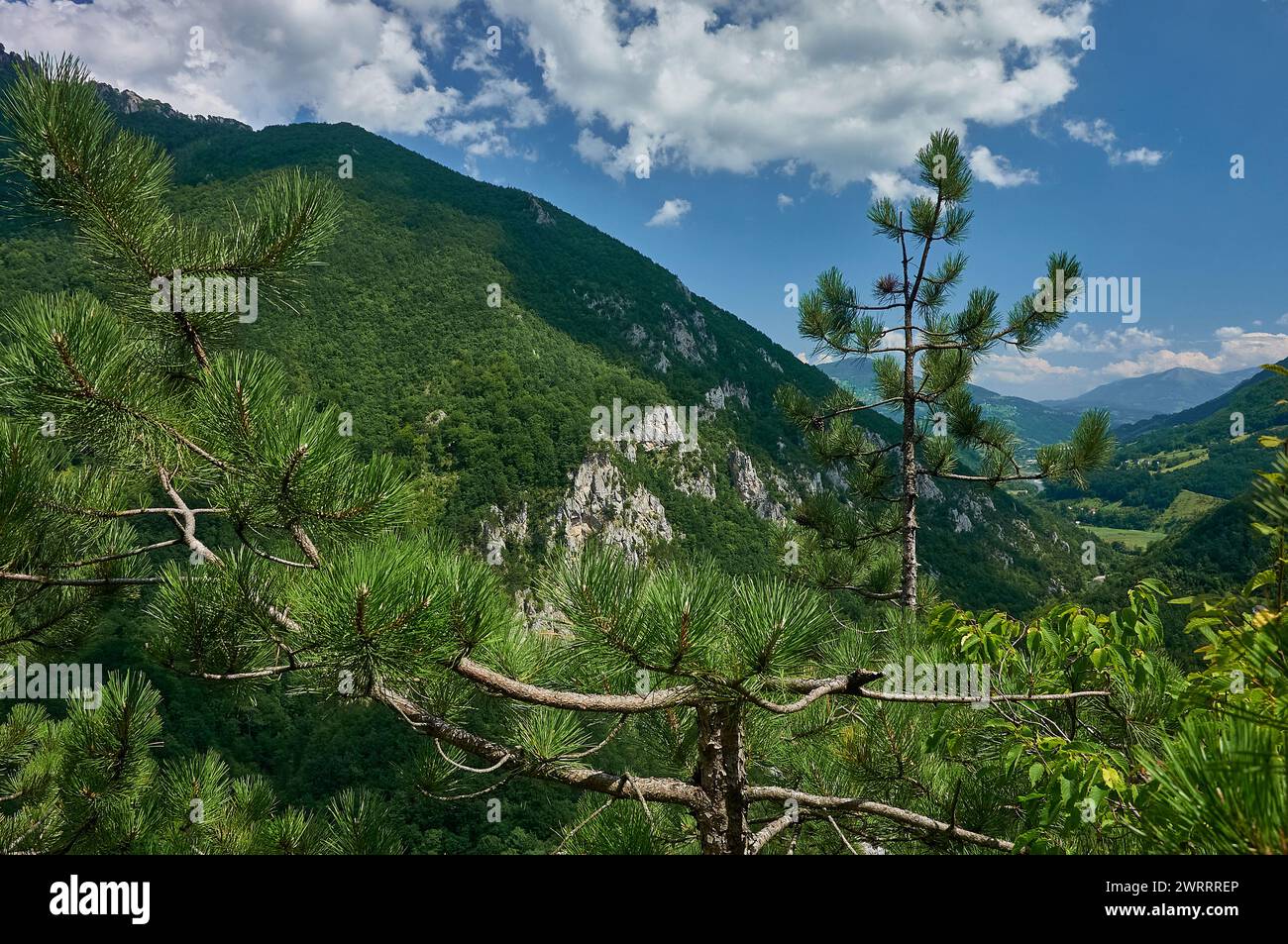Montenegro. Valley of Tara river. Mountains and forests on the slopes ...