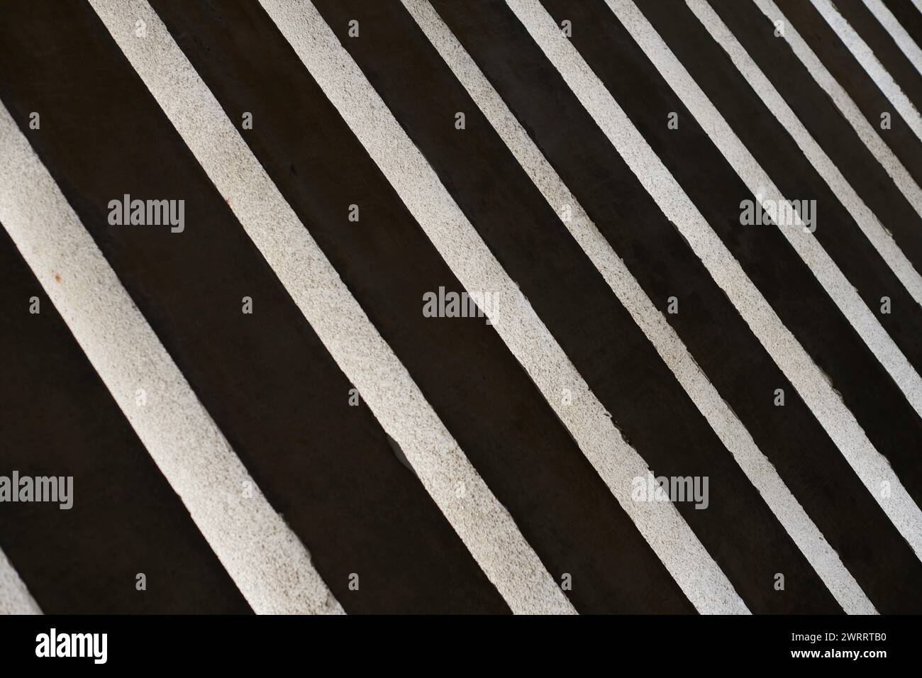 Symmetrical row of columns for maintain architectural structure ...