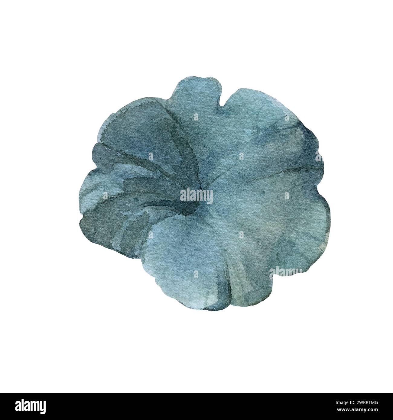 Geranium leaf isolated on white background. Hand drawn watercolor ...
