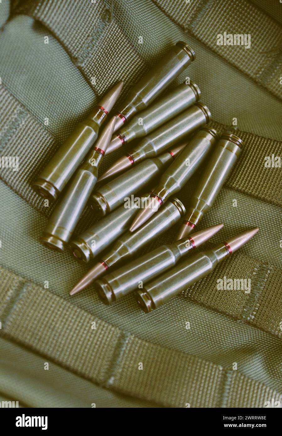 Twelve Rifle Bullets On A Belts Of Molle Unloading System Stock Photo ...