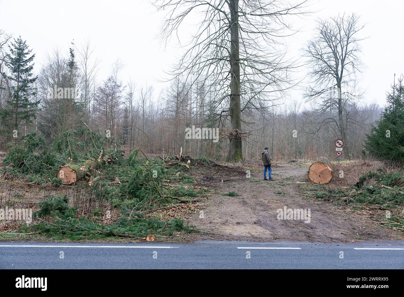 The crime scene on Parnasvej near Soroe, Denmark Thursday March 14 ...