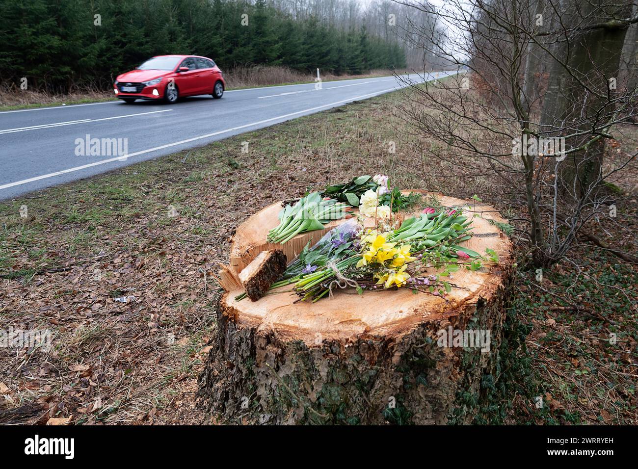 The crime scene on Parnasvej near Soroe, Denmark Thursday March 14 ...