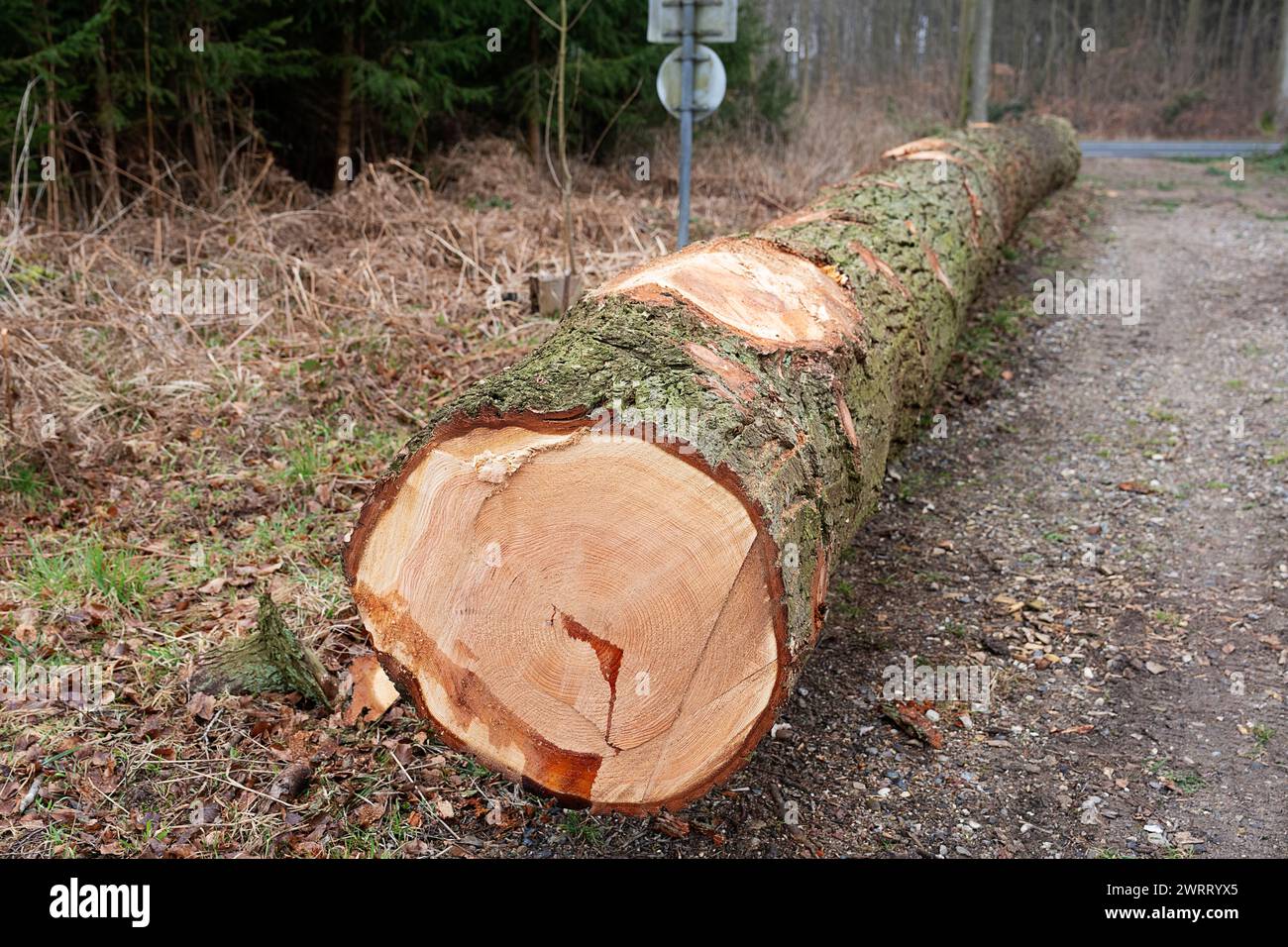 The crime scene on Parnasvej near Soroe, Denmark Thursday March 14 ...