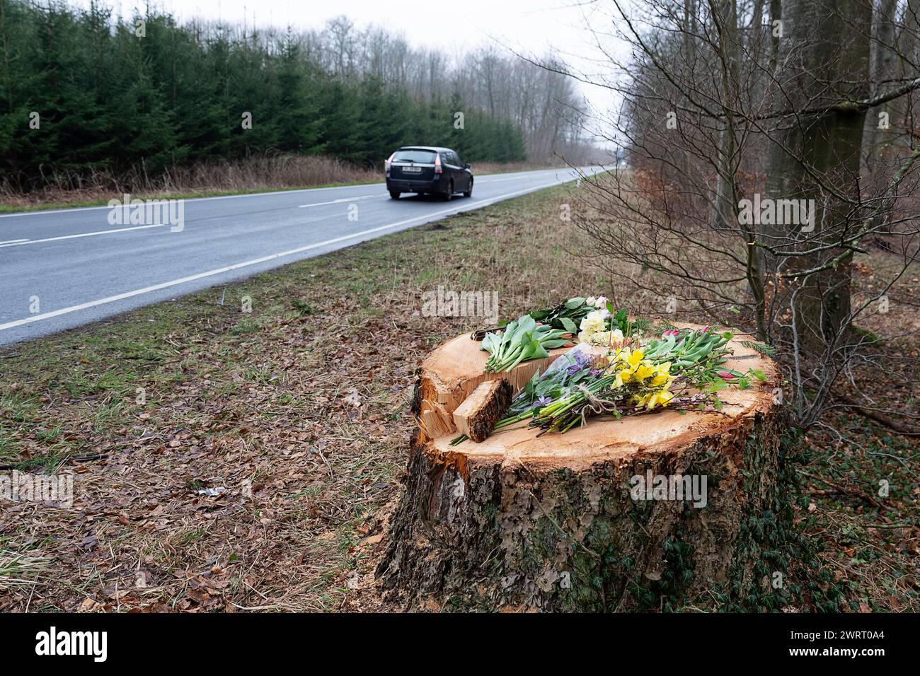 The crime scene on Parnasvej near Soroe, Denmark Thursday March 14 ...