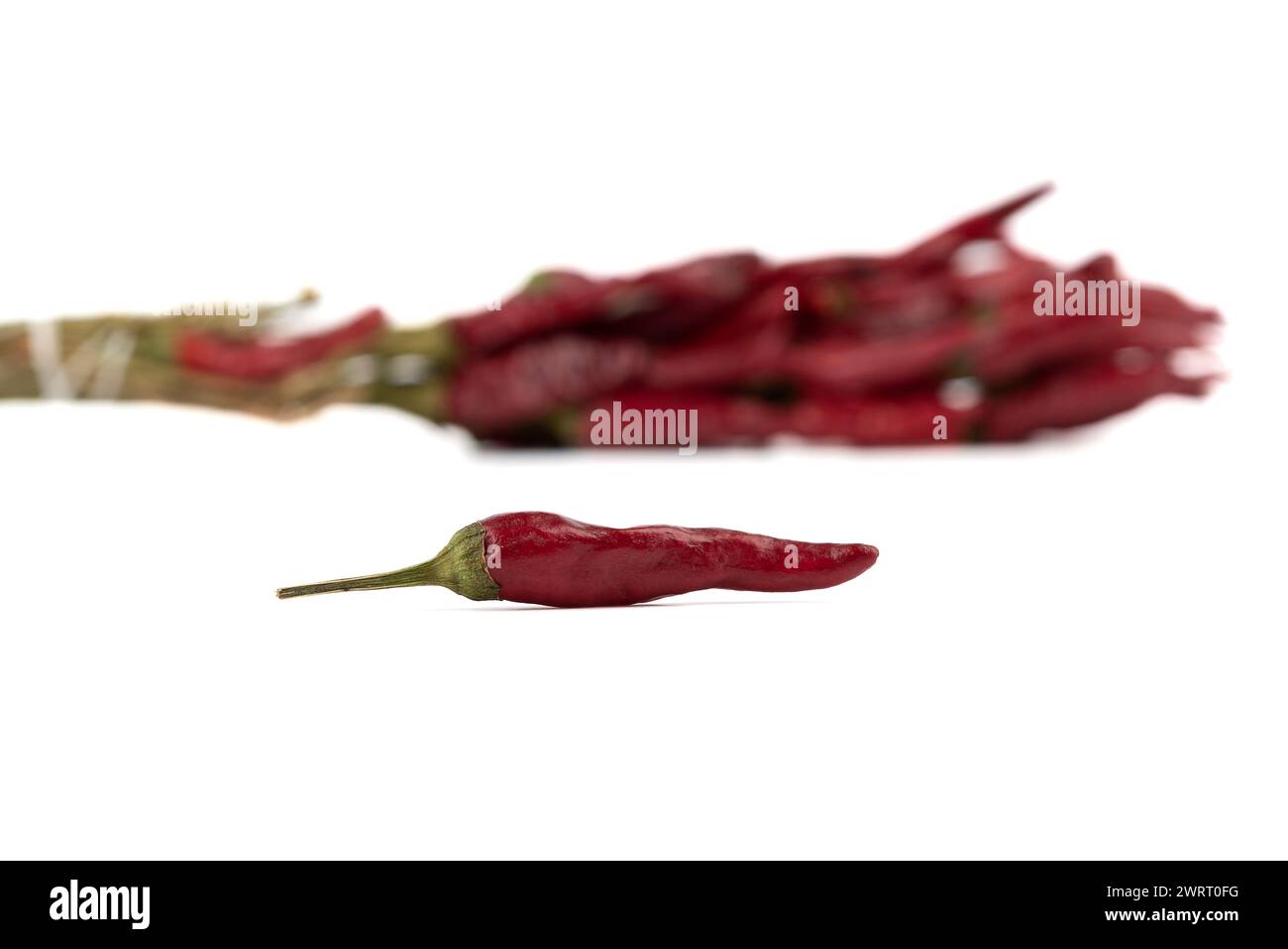 Red burning pepper pod and blurred bunch of pepper pods on white ...