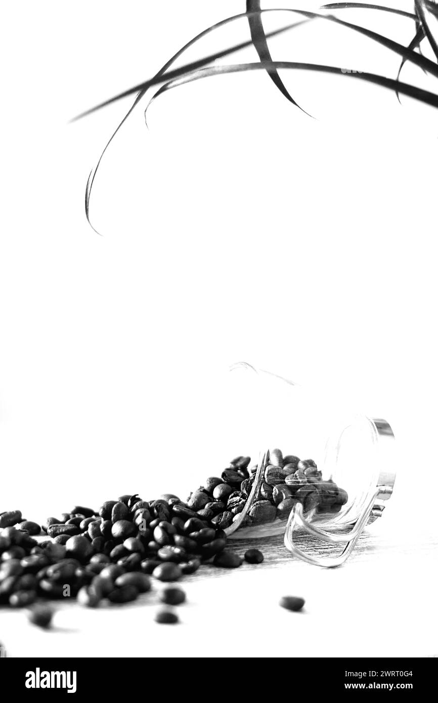 Comfort break Black and White Stock Photos & Images - Alamy