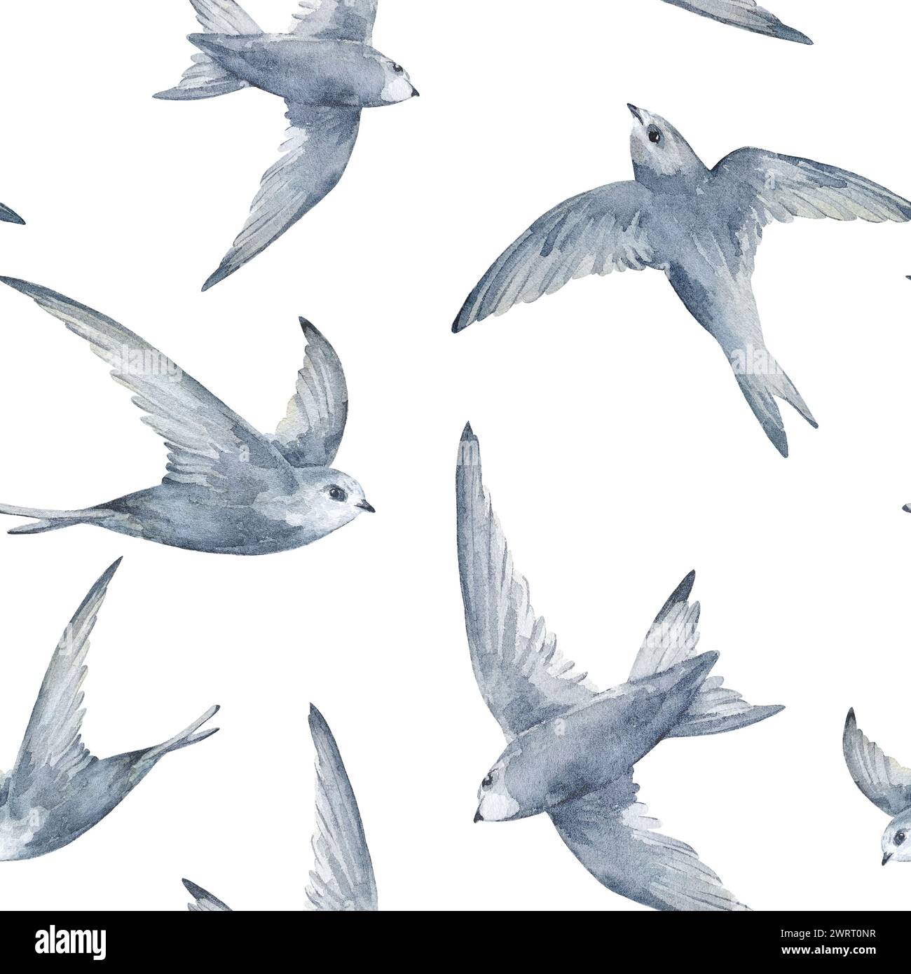 Swifts birds watercolor seamless pattern. Hand drawn. For the design of ...