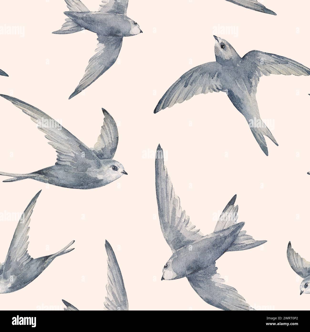 Swifts birds watercolor seamless pattern. Hand drawn. For the design of ...