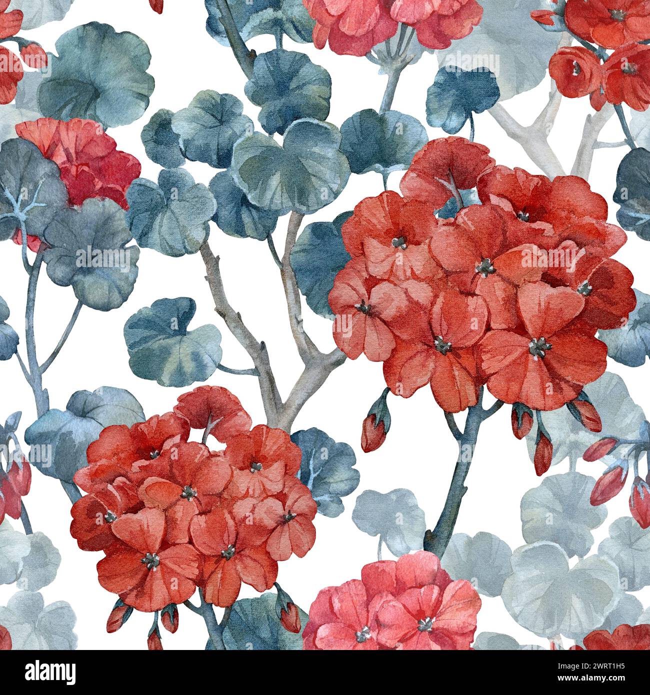 Red geranium flowers and leaves watercolor seamless pattern. Hand drawn ...