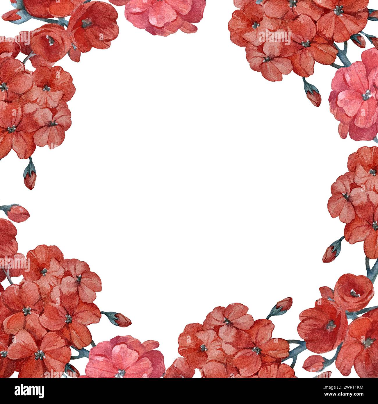 Frame with red geranium flowers. Template for cards with hand drawn ...