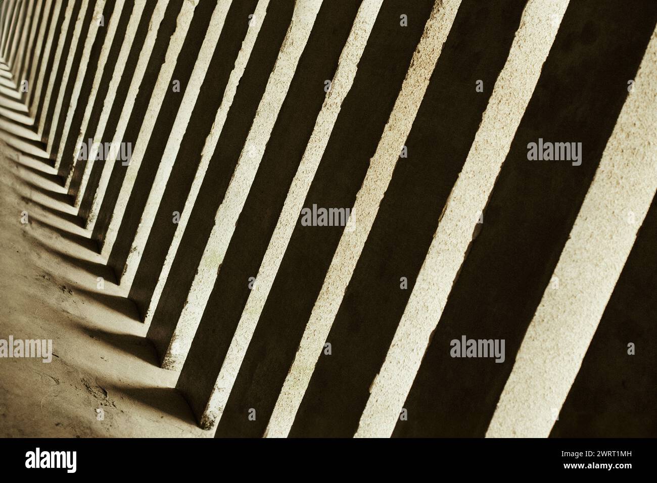 Symmetrical row of columns for maintain architectural structure ...