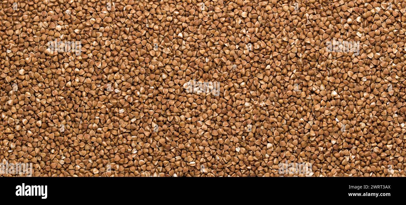 Uncooked brown buckwheat grain. Buckwheat porridge background. Gluten ...