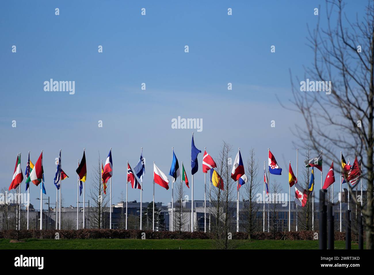 Flags of NATO member countries flap in the wind outside at NATO ...