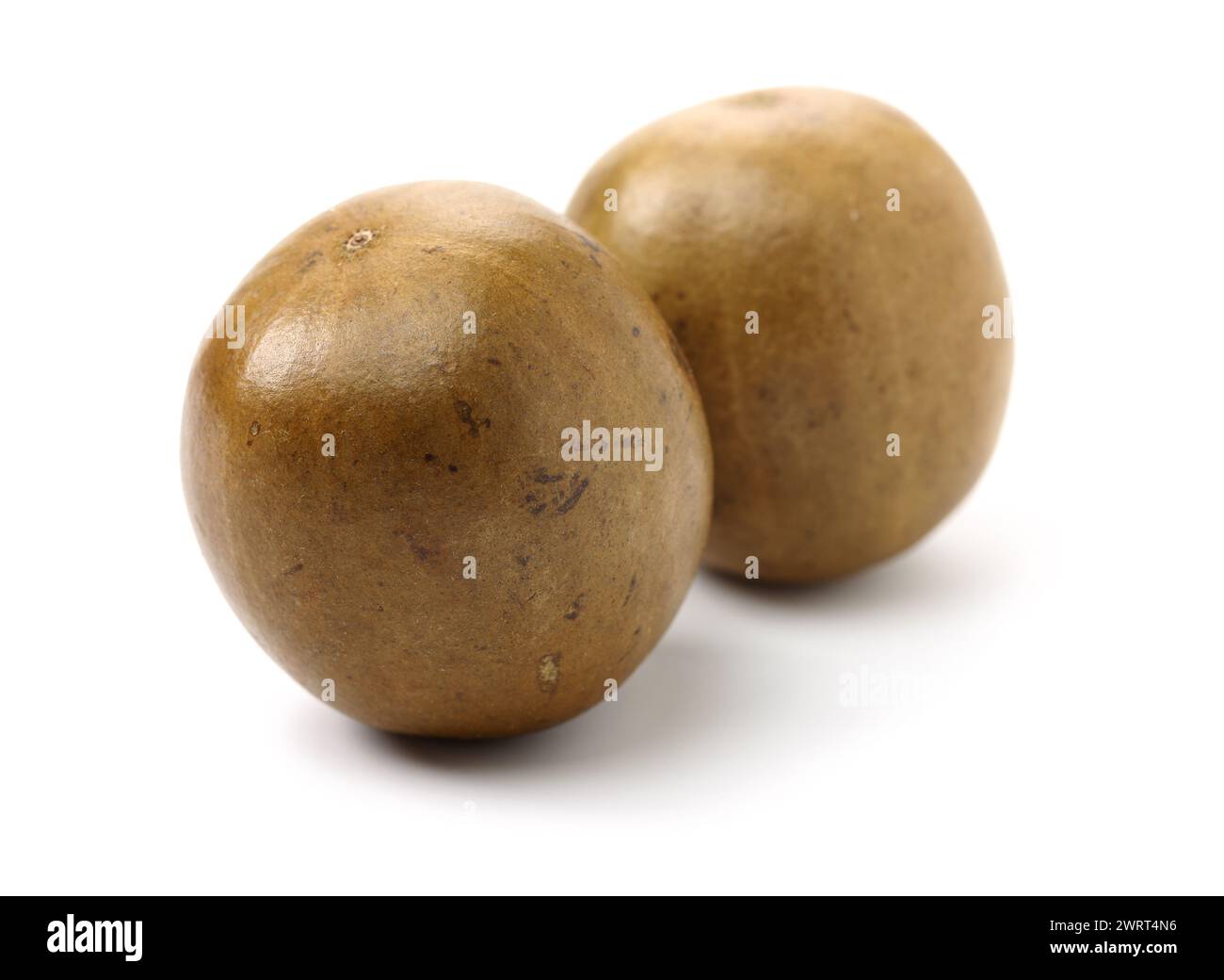 Golden Luo Han Guo on white background Stock Photo - Alamy