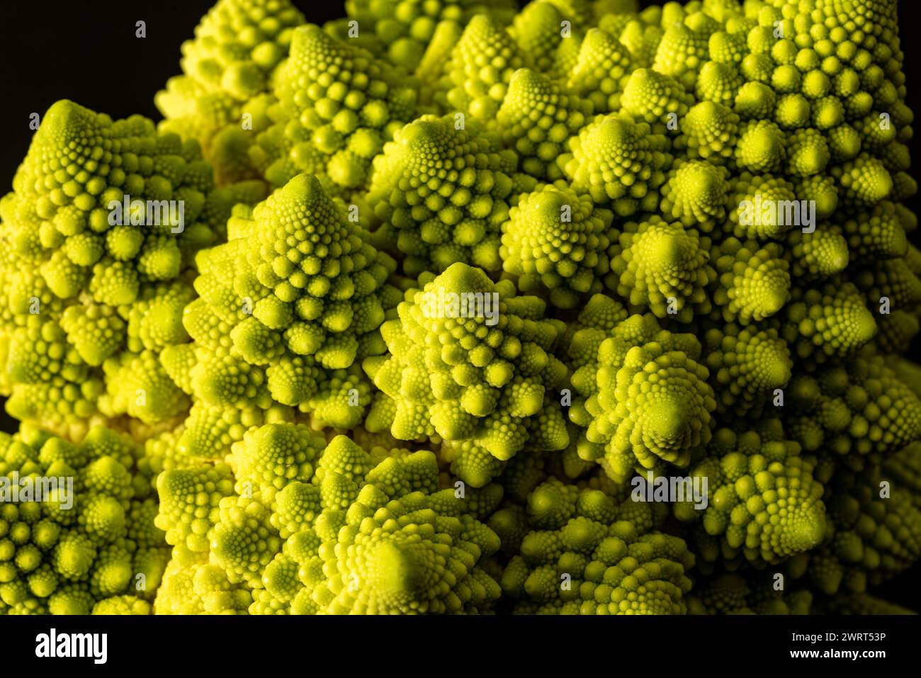 close-up photo of cabbage, branched inflorescence in middle of rosette ...