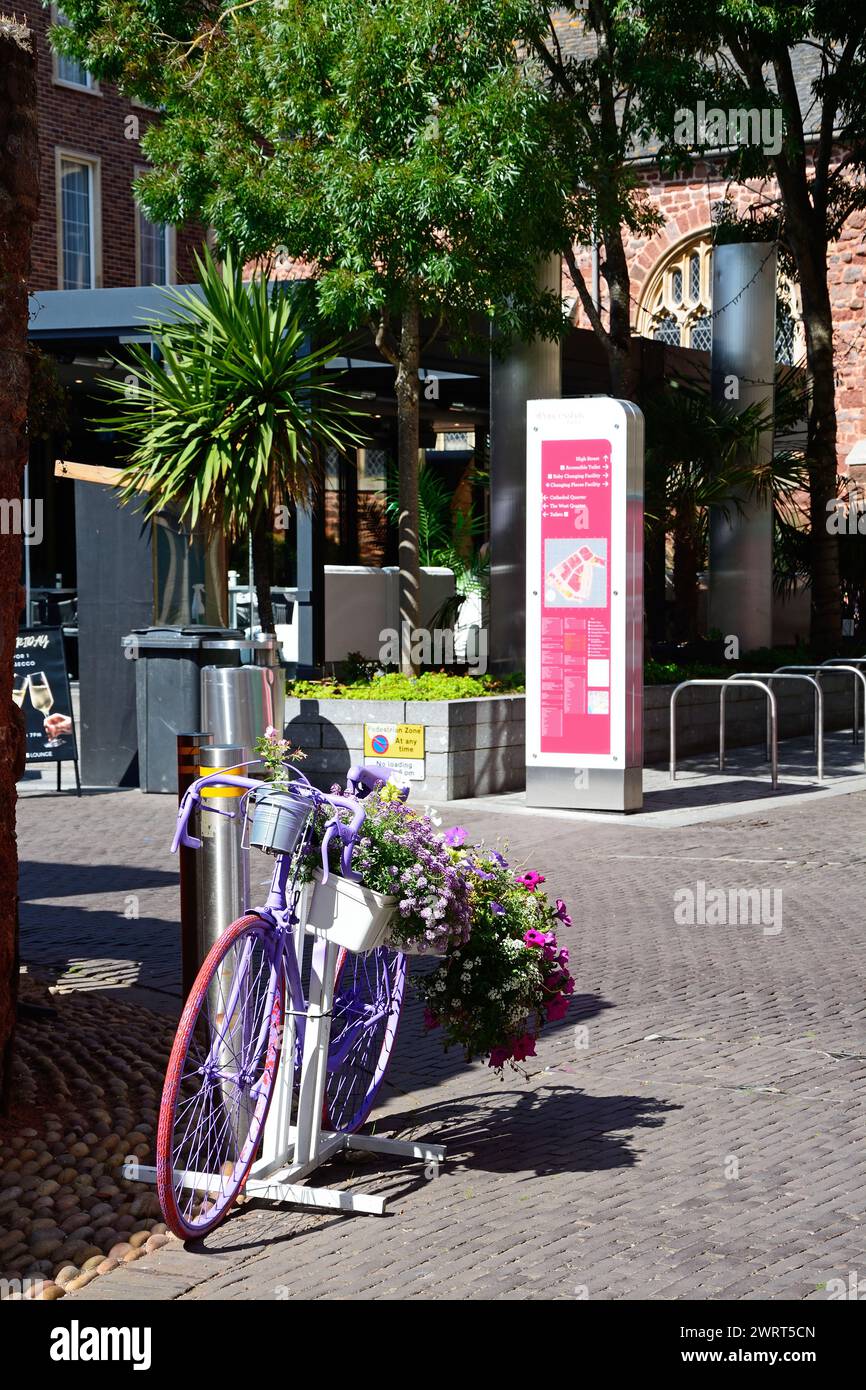A purple bicycle with pretty Summer flowers along Egypts Lane with ...