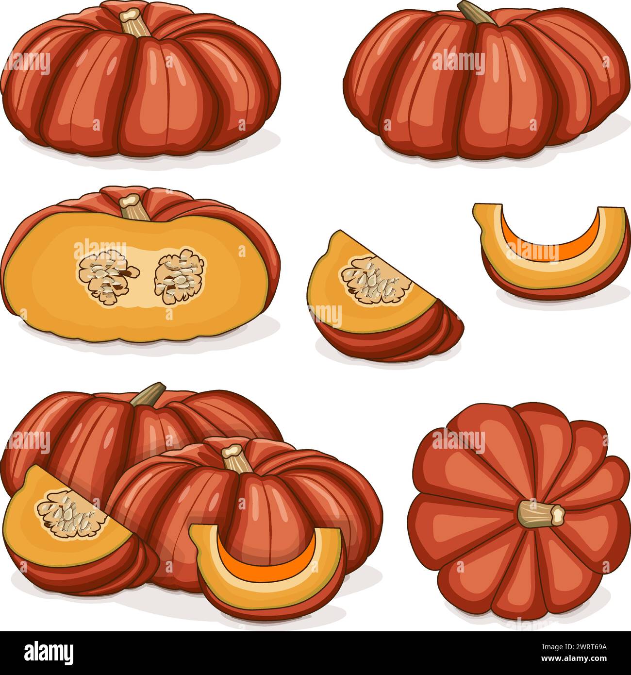 Set of Cinderella pumpkin. Rouge Vif D Etampes. Winter squash ...