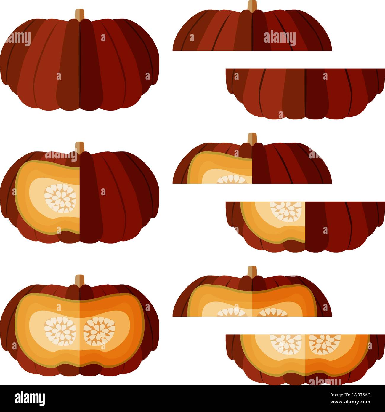 Set of Cinderella pumpkin. Rouge Vif D Etampes. Winter squash ...