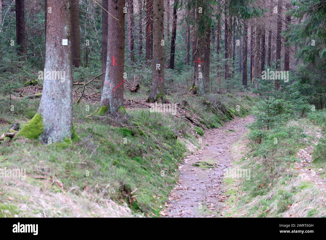 Rennsteig wanderweg hi-res stock photography and images - Alamy