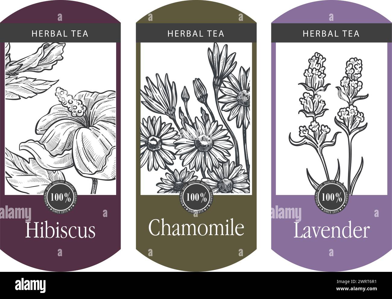 hibiscus, chamomile and lavender tea package logo Stock Vector Image ...