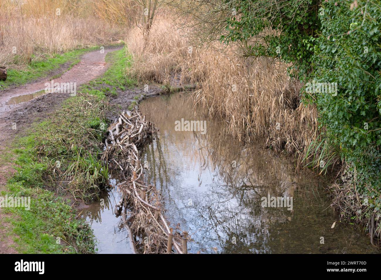Traditional river bank protection added to the River Lea at Batford ...