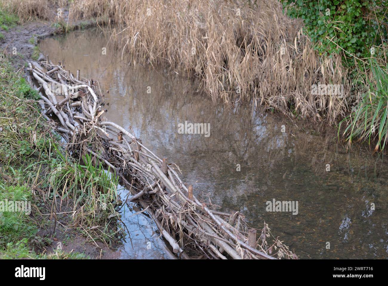 Former watercress farm hi-res stock photography and images - Alamy