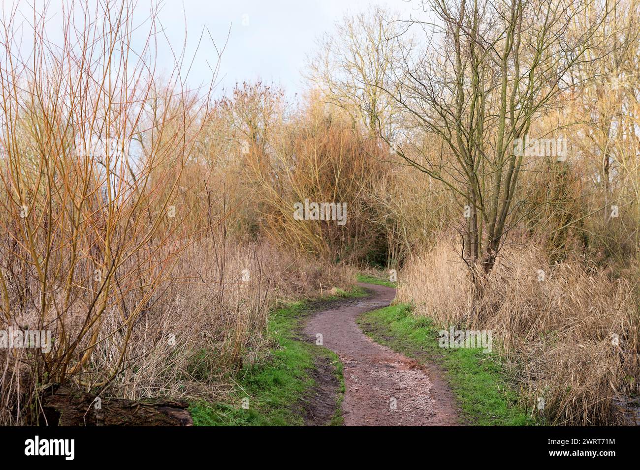 Traditional river bank protection added to the River Lea at Batford ...