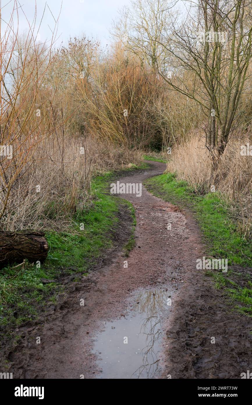 Traditional river bank protection added to the River Lea at Batford ...