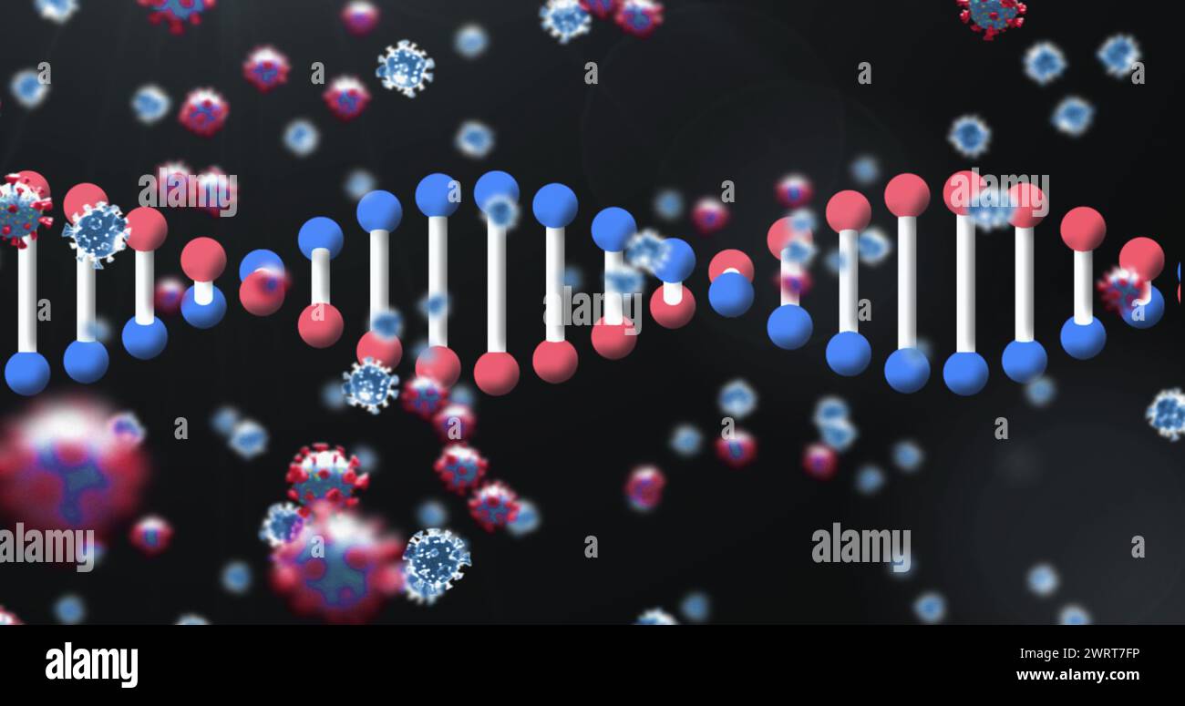 Image of 3d DNA strand spinning with Covid 19 coronavirus cells icons ...