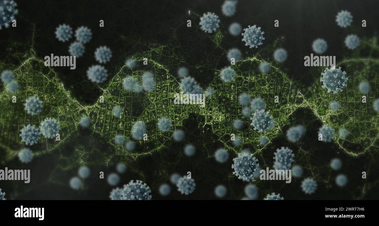 Image of 3d DNA strand spinning with Covid 19 coronavirus cells ...
