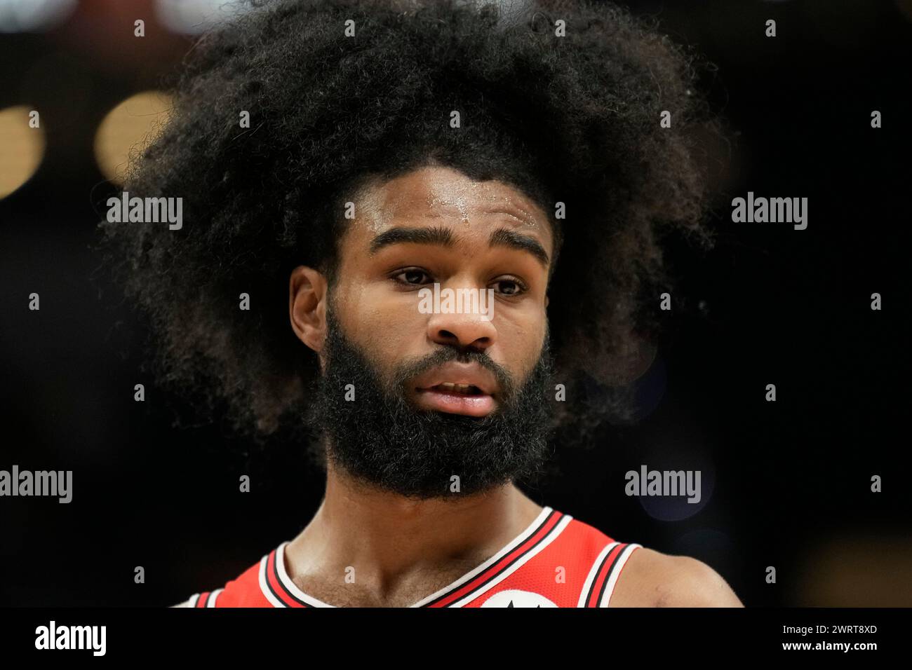 Chicago Bulls guard Coby White (0) in action during an NBA basketball ...