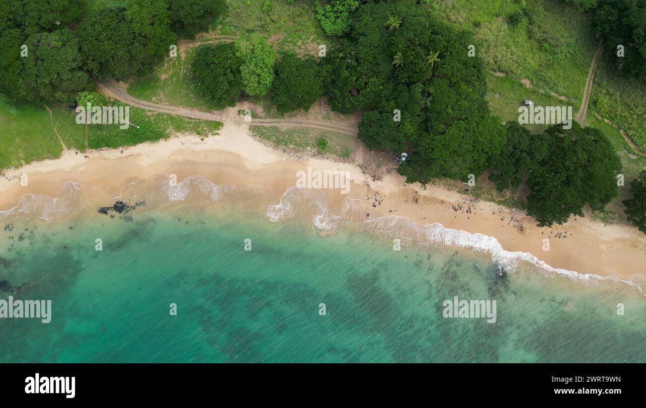 Sao tome white eye hi-res stock photography and images - Alamy