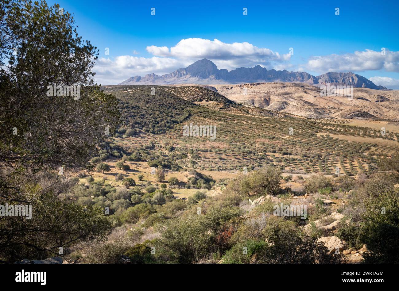 Amazigh of zaghouan hi-res stock photography and images - Alamy