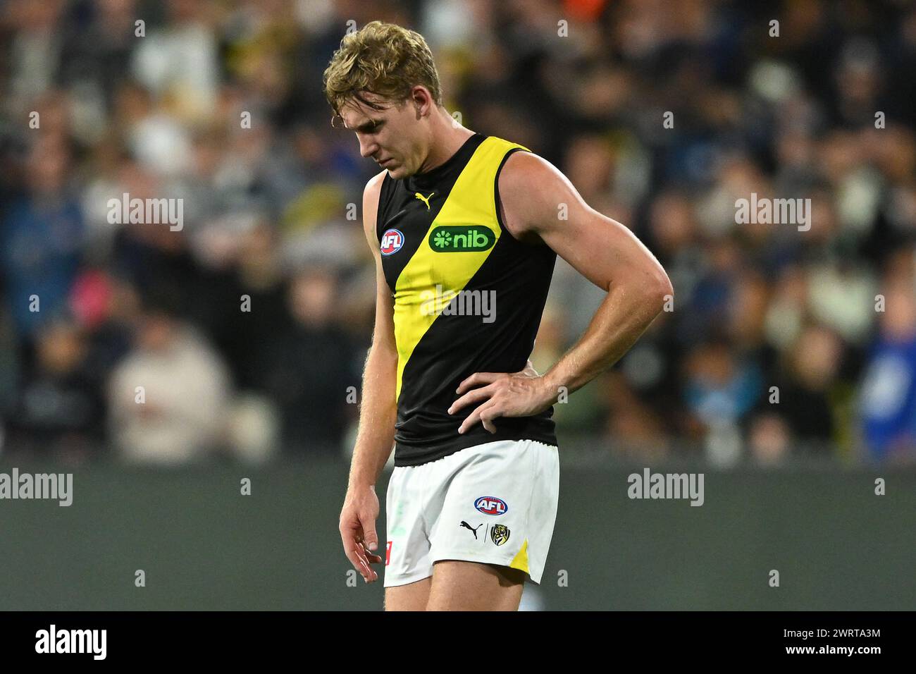 Melbourne, Australia. 14th Mar, 2024. Tom Lynch of Richmond is seen ...